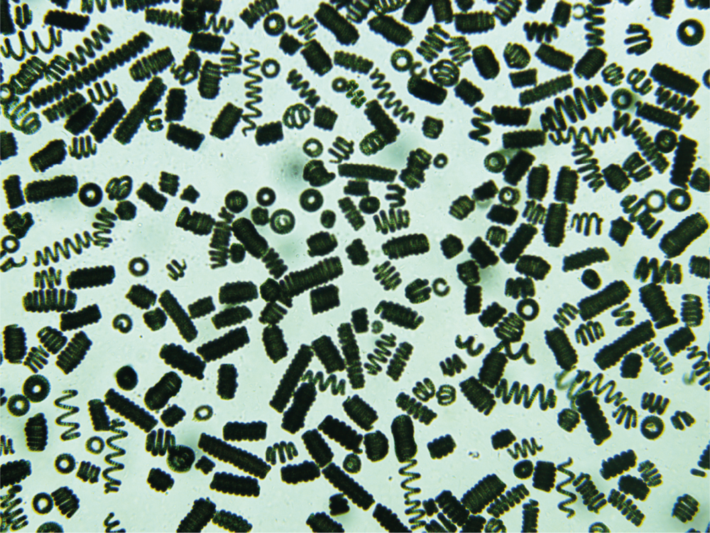 Découverte sur la Spiruline au Campus Métiers Nature